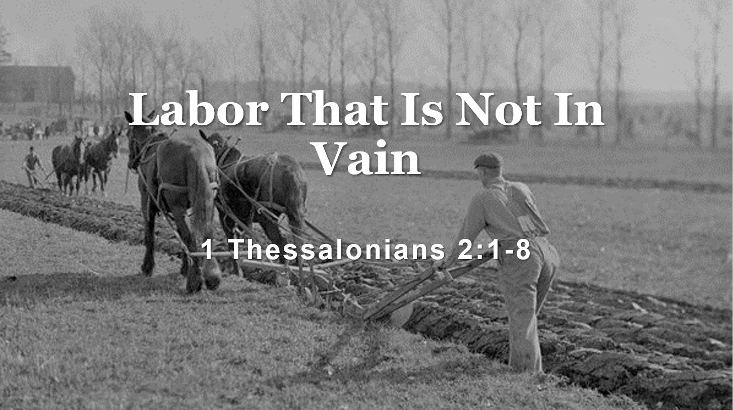 Labor That Is Not In Vain | Waverly Church of Christ